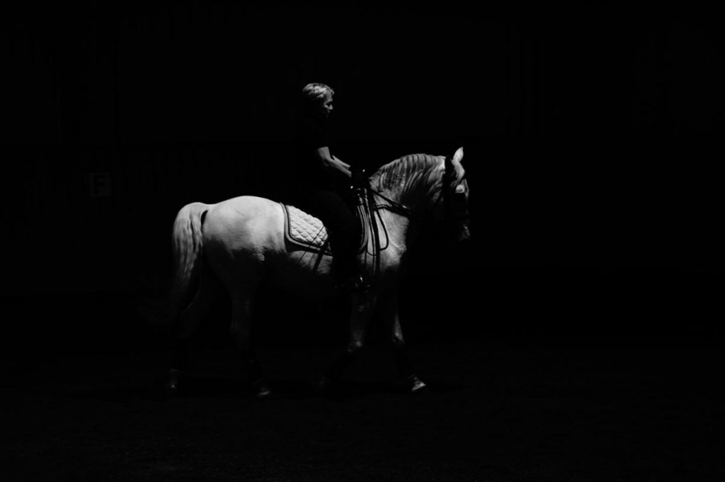 a-students-husband-took-this-very-artistic-photo-of-their-stallion ...